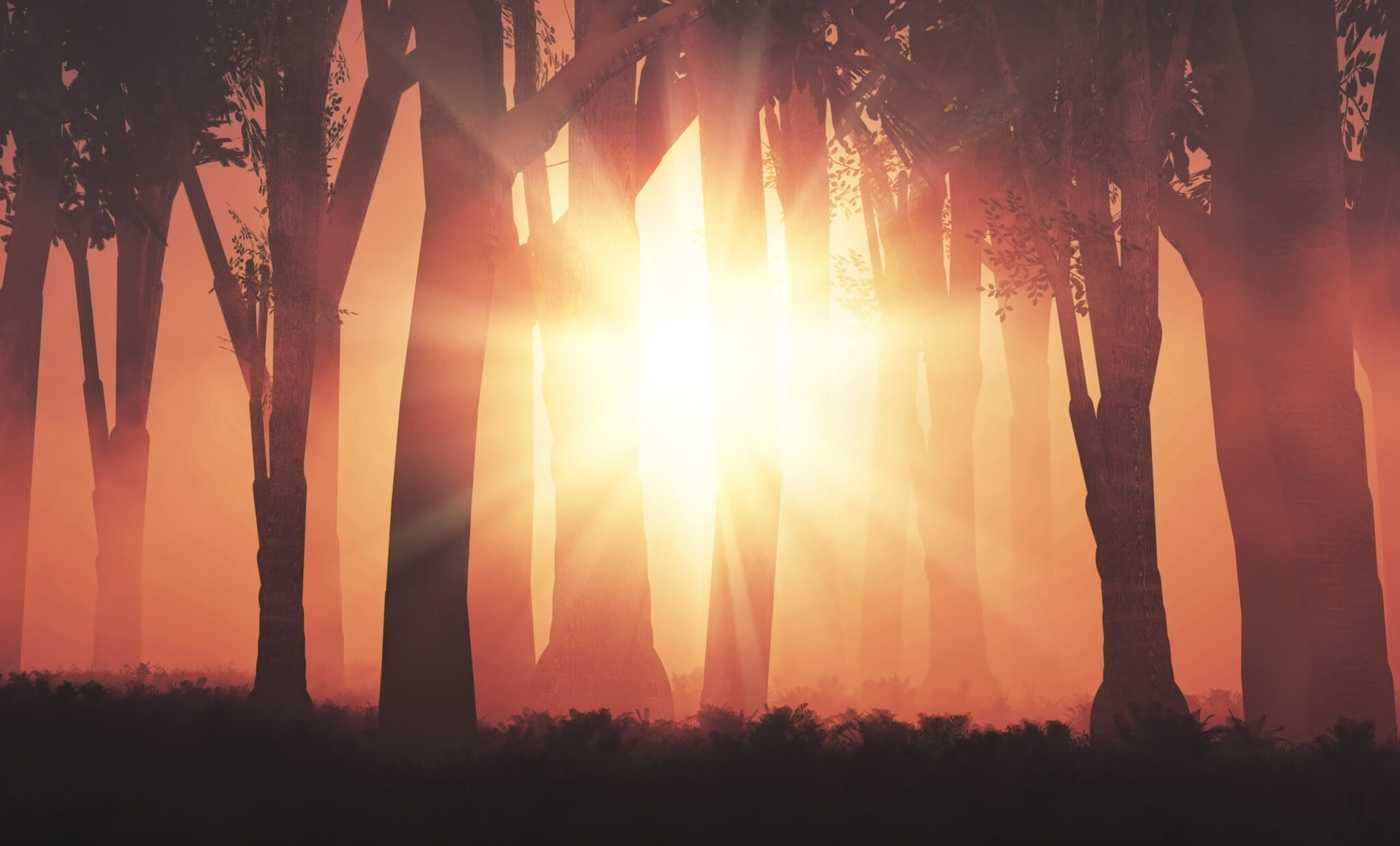 How to Remove Flash Glare in Photoshop in 2025