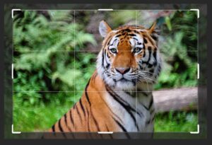 How Big is a 5x7 photo? | A Detailed Explanation
